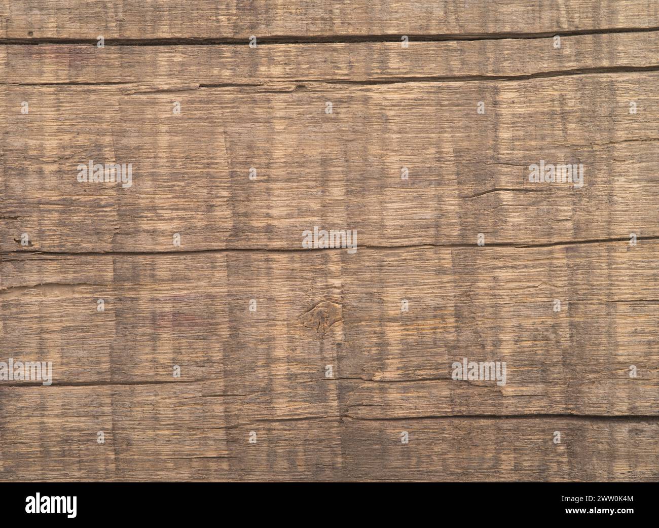 brown old texture of a tree Stock Photo - Alamy