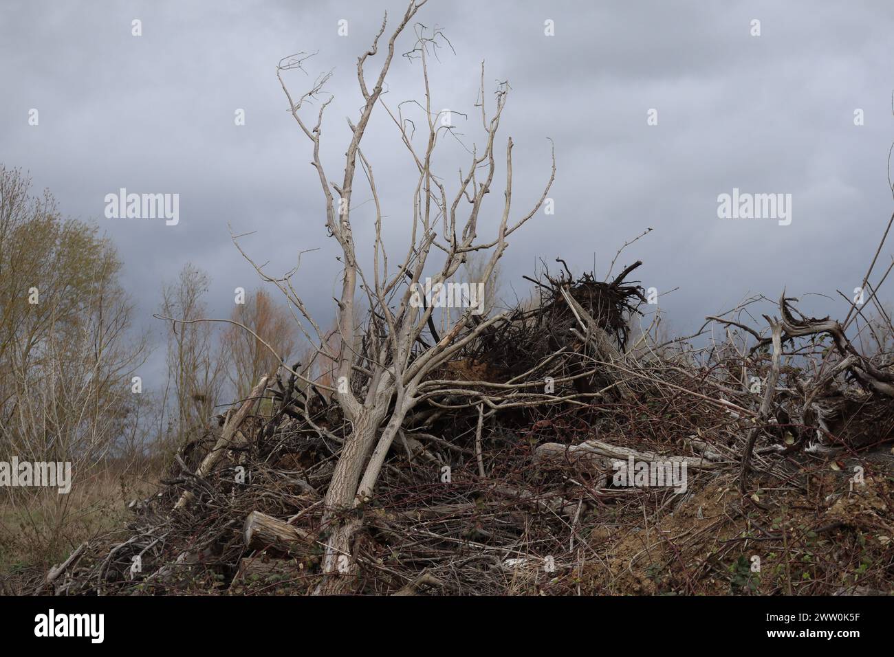 Organic mattress hi-res stock photography and images - Alamy
