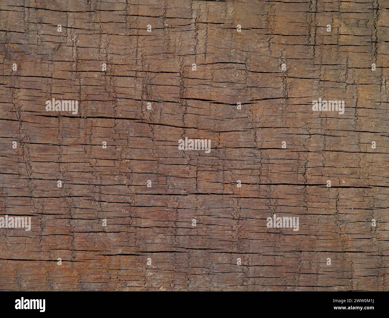 brown old texture of a tree (high-resolution images Stock Photo - Alamy