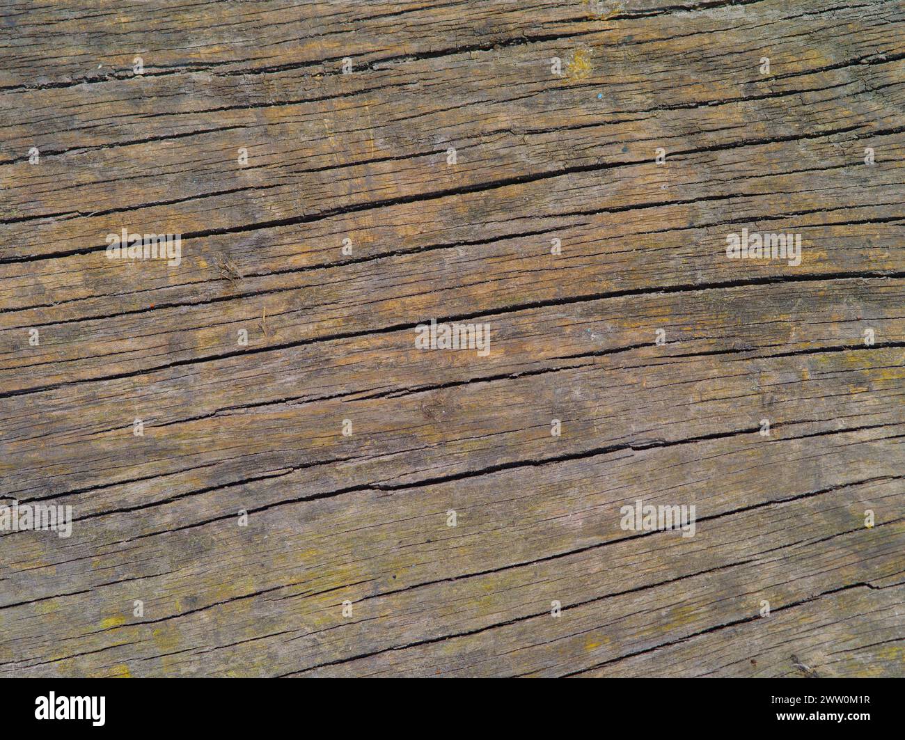 brown old texture of a tree (high-resolution images Stock Photo - Alamy