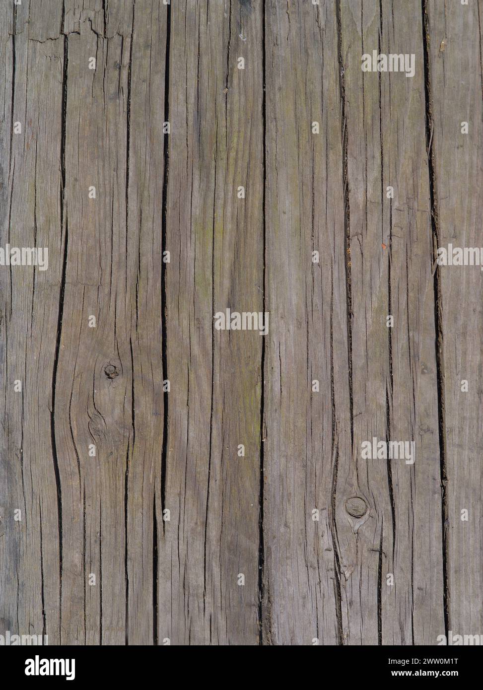 brown old texture of a tree (high-resolution images Stock Photo - Alamy