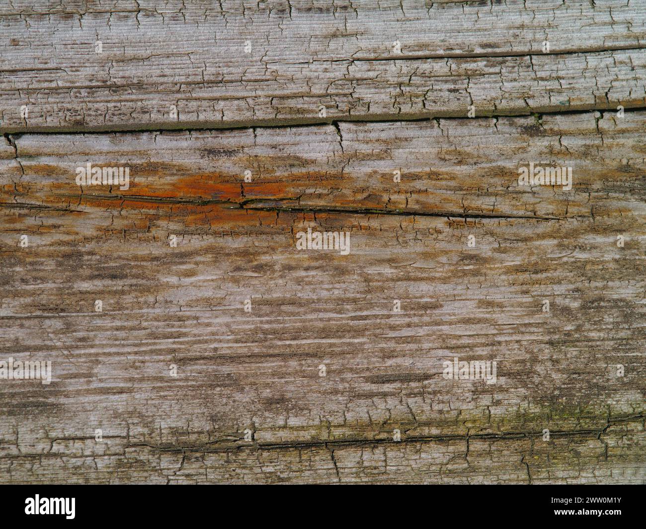 brown old texture of a tree (high-resolution images Stock Photo - Alamy