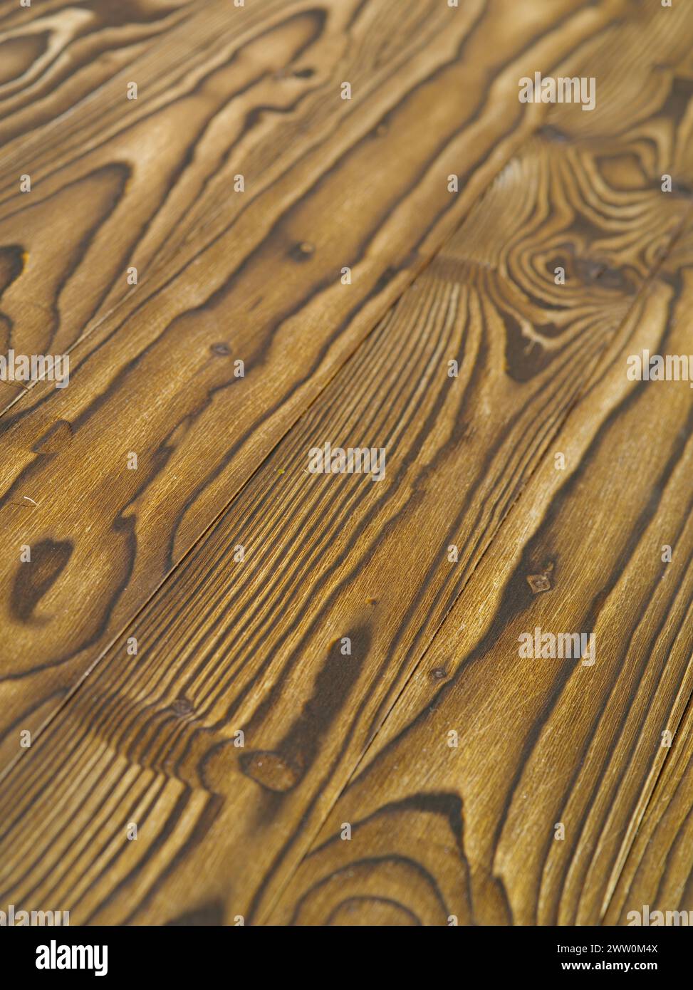 brown old texture of a tree (high-resolution images Stock Photo - Alamy