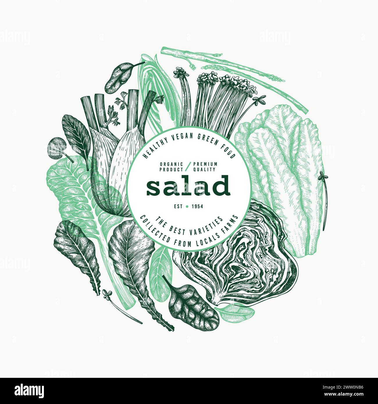 Green Vegetable Design Template. Vector Hand Drawn Healthy Leaf Salad ...