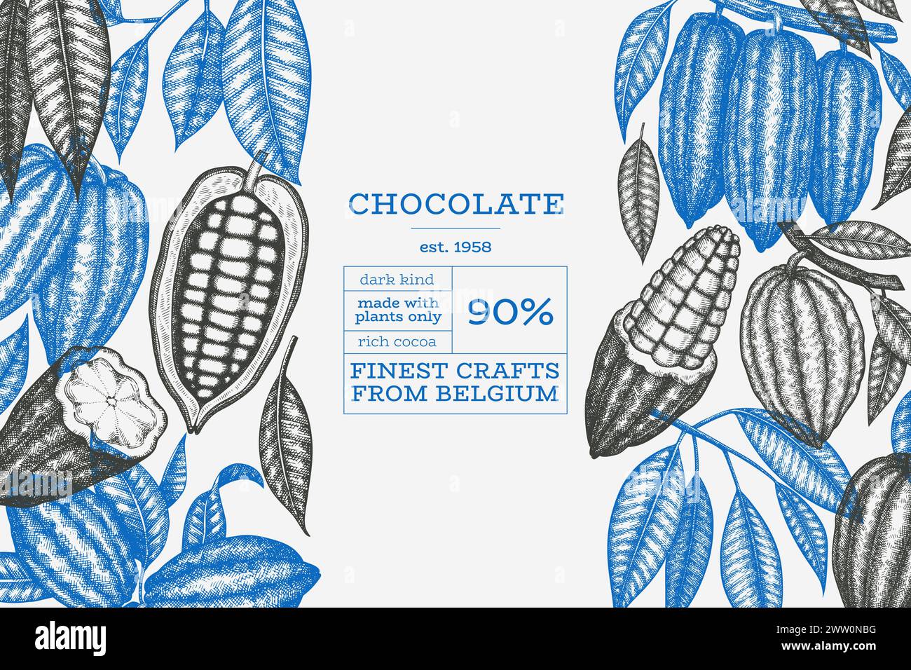 Cocoa Banner Template. Chocolate Retro Cocoa Beans Background. Vector ...