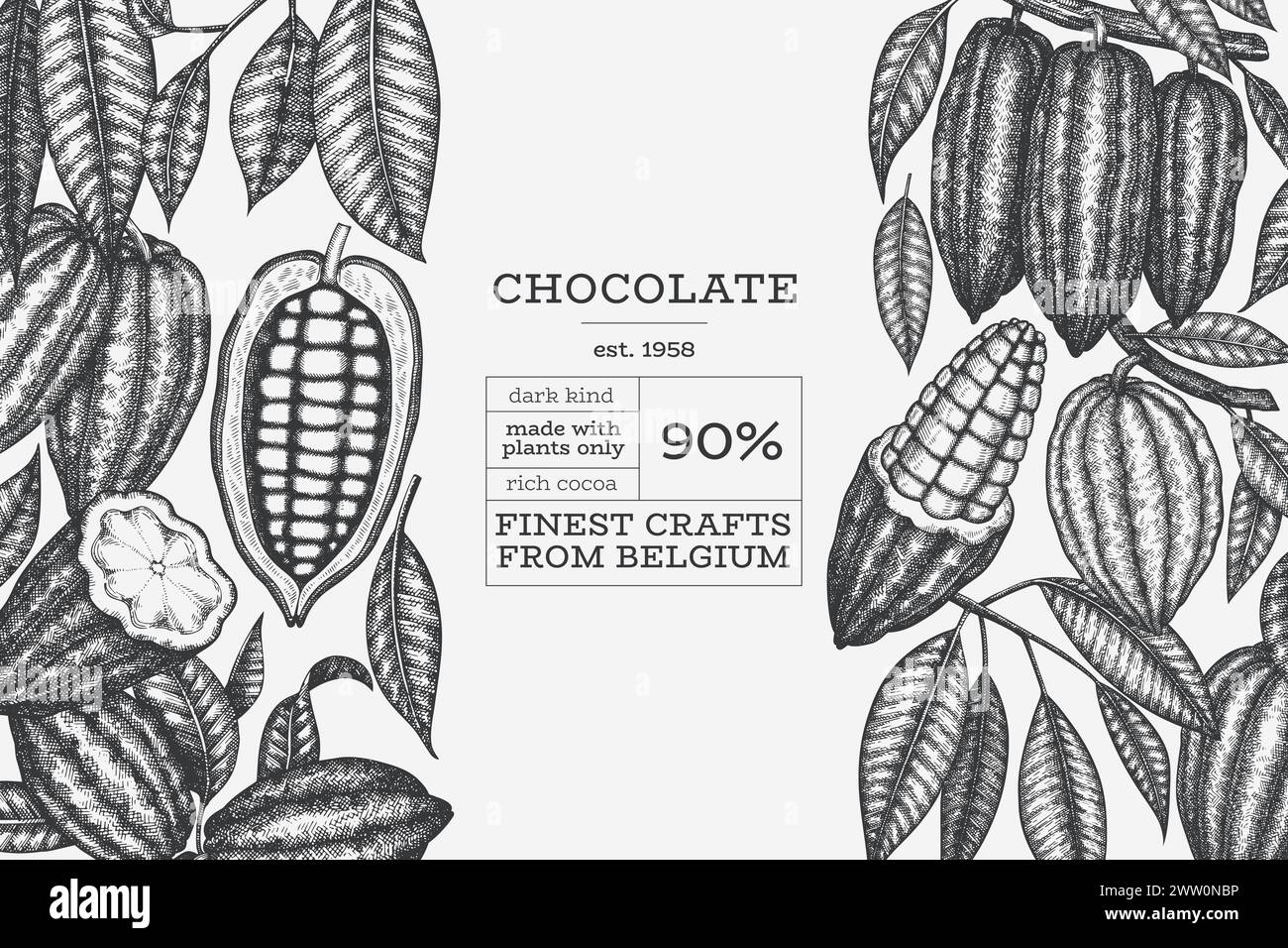 Cocoa Banner Template. Chocolate Retro Cocoa Beans Background. Vector ...