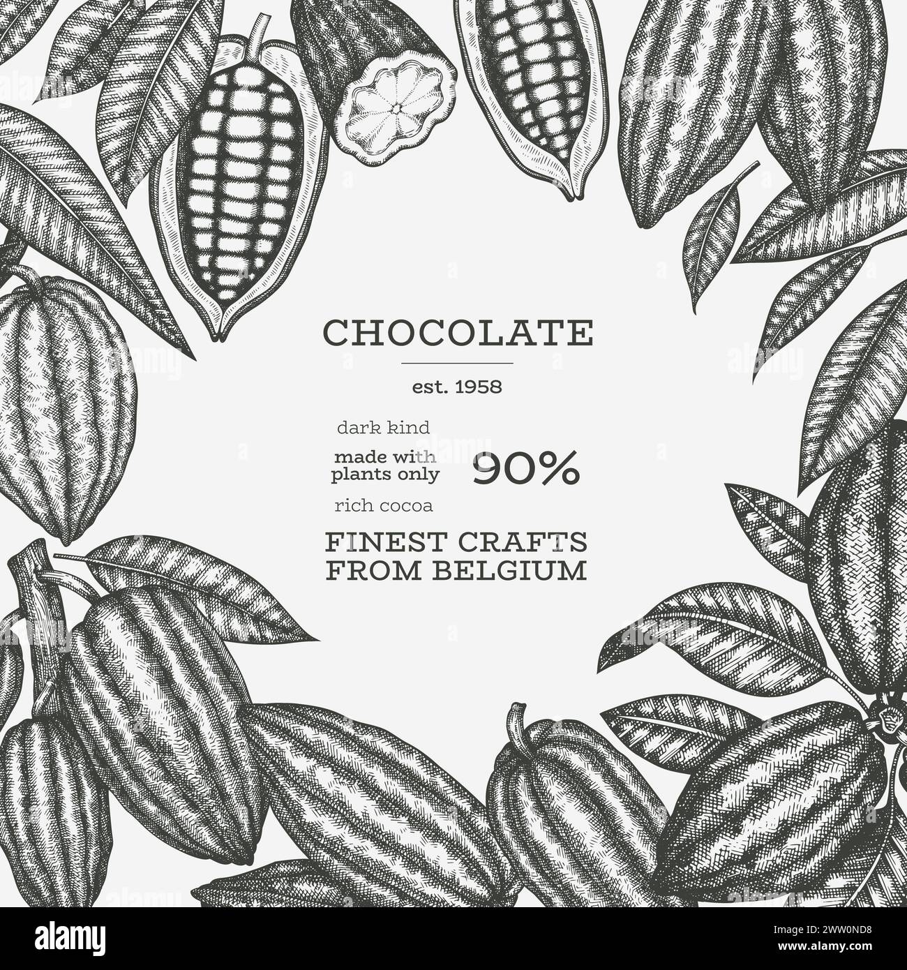 Cocoa Banner Template. Chocolate Retro Cocoa Beans Background. Vector ...