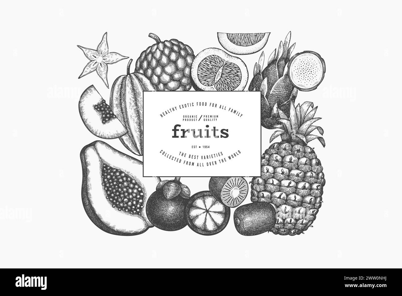 Tropical Fruit Design Template. Vector Hand Drawn Exotic Fruit Banner ...