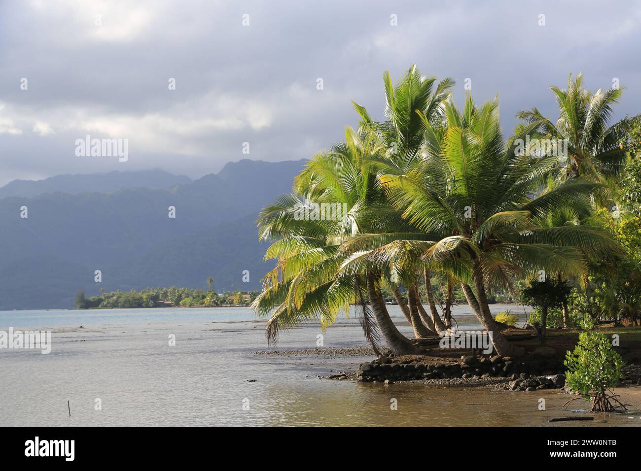 On the coast of the island of Tahiti near Teahupo'o, in the Tahiti Iti ...