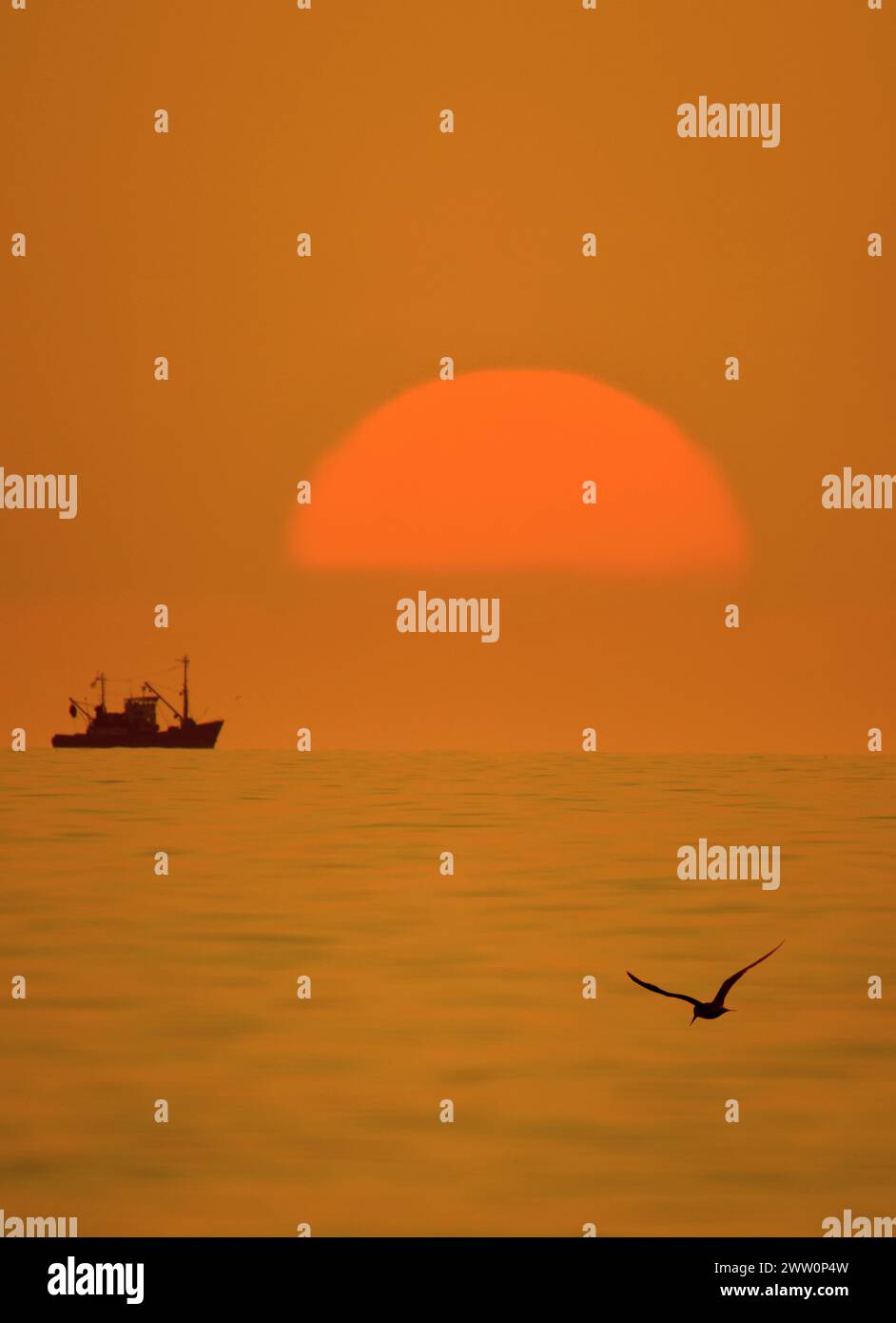 rising sun over the sea Stock Photo - Alamy