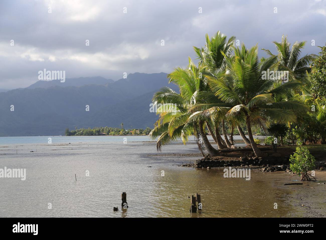 On the coast of the island of Tahiti near Teahupo'o, in the Tahiti Iti ...