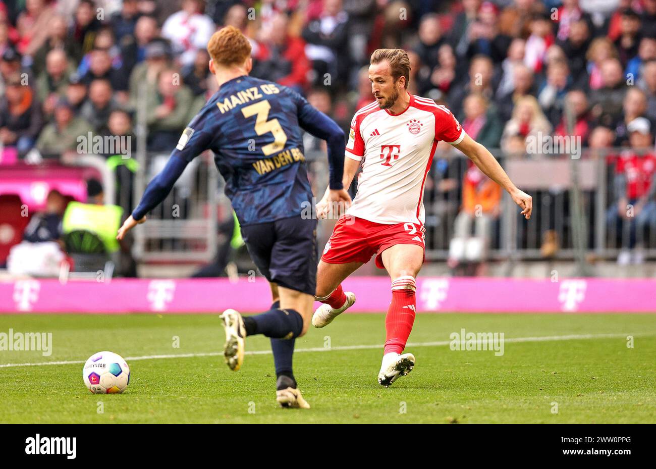 Harry van den berg hi-res stock photography and images - Alamy