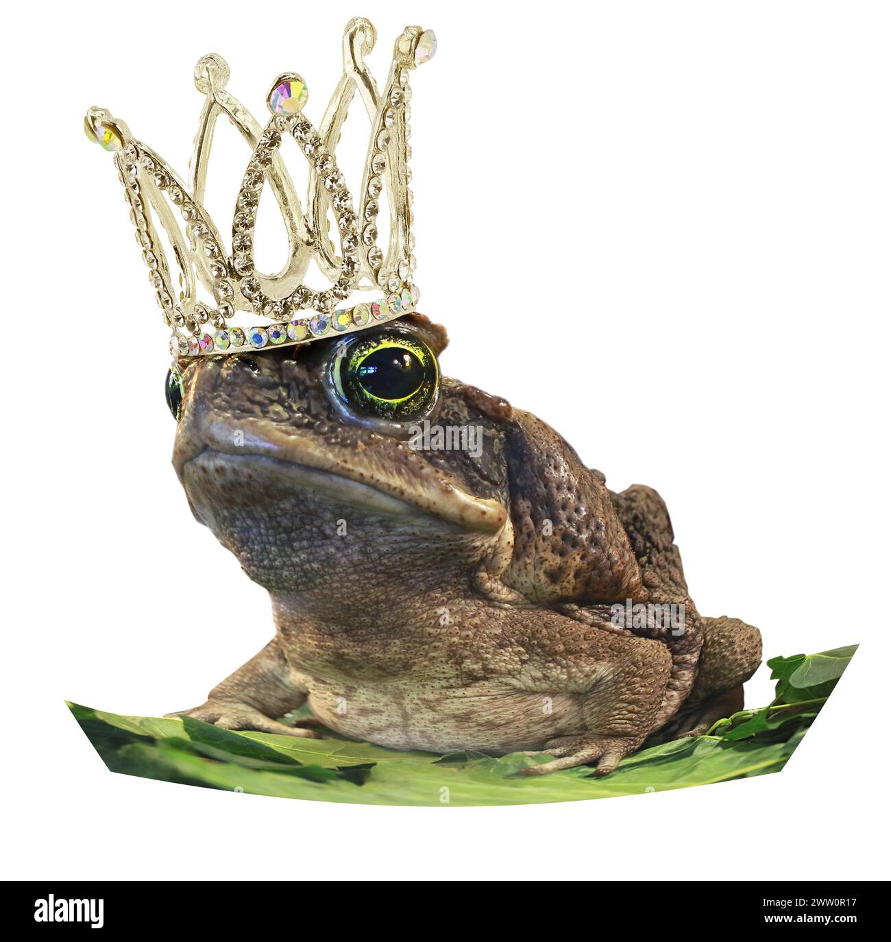 Frog in gold Cut Out Stock Images & Pictures - Alamy
