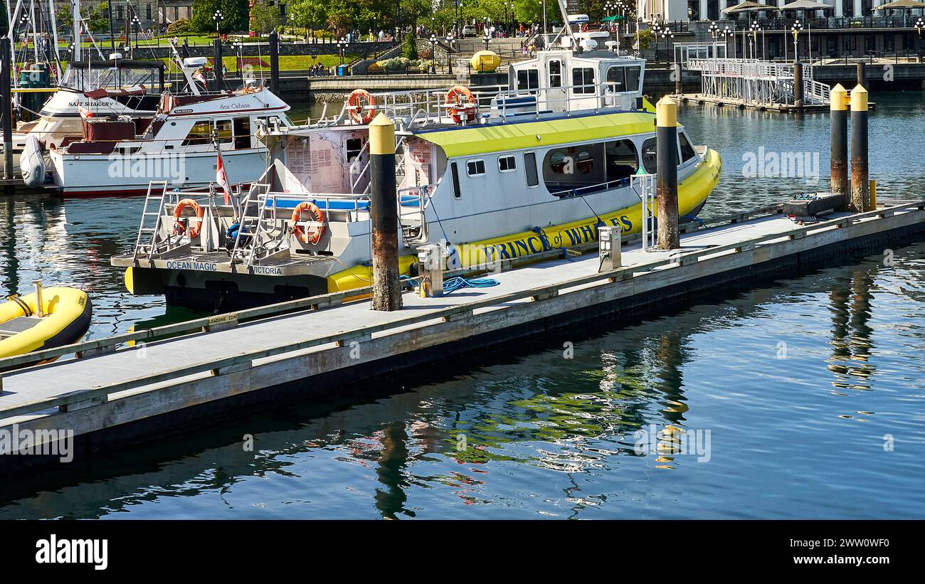 Prince of Whales, adventure whale watching tour boat tied up at a dock ...