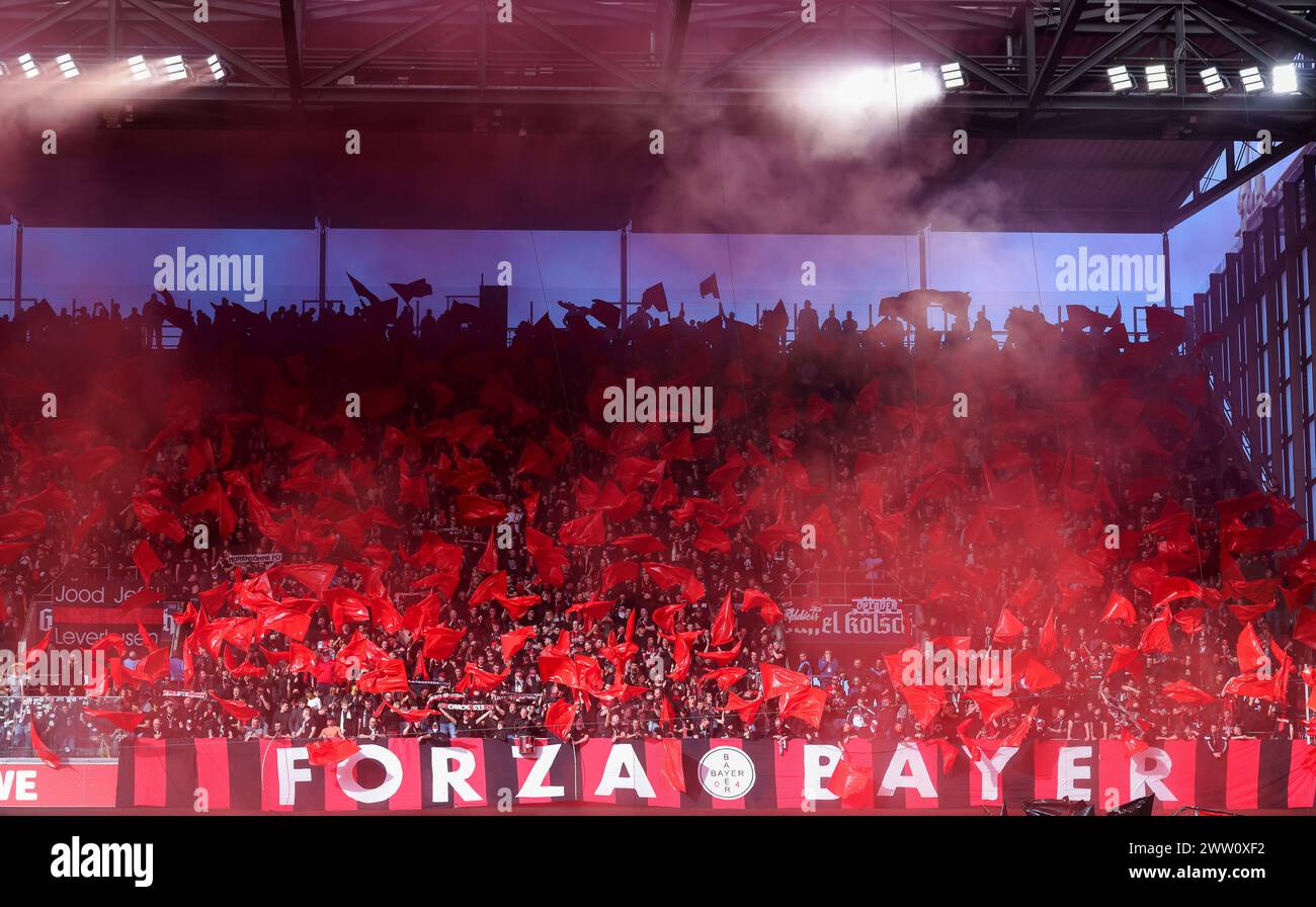 Bayer 04 leverkusen choreo hi-res stock photography and images - Alamy