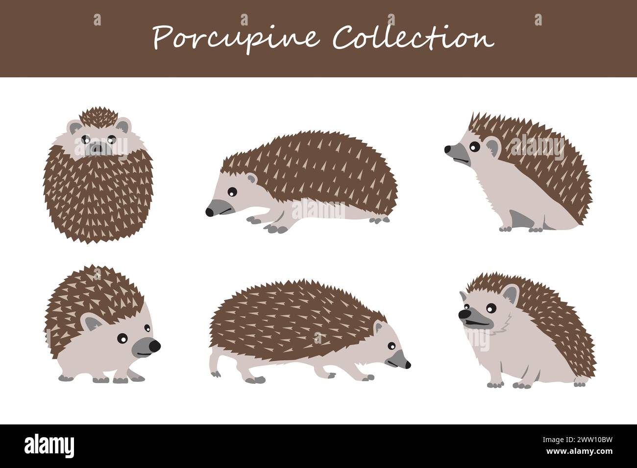 porcupine collection. Vector illustration. Isolated on white background ...