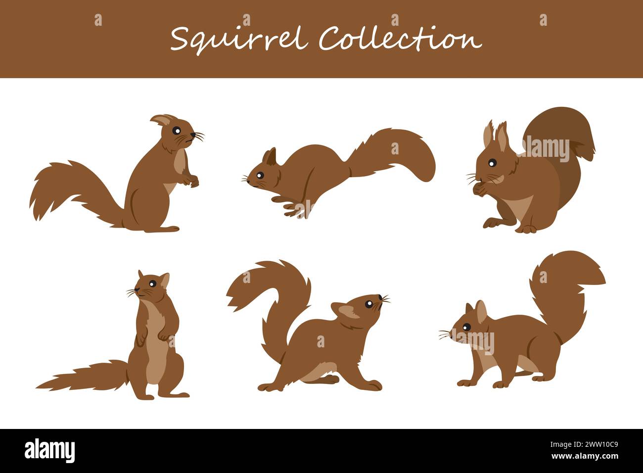 Squirrels Collection Vector Illustration Isolated On White Background