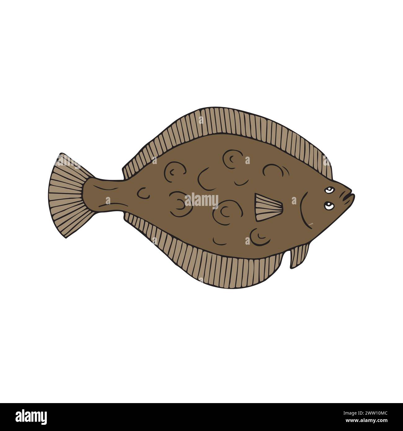 Vector hand drawn doodle sketch colored flounder fish isolated on white background Stock Vector ...