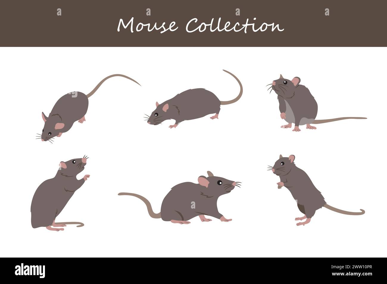 mouse collection. Vector illustration. Isolated on white background ...