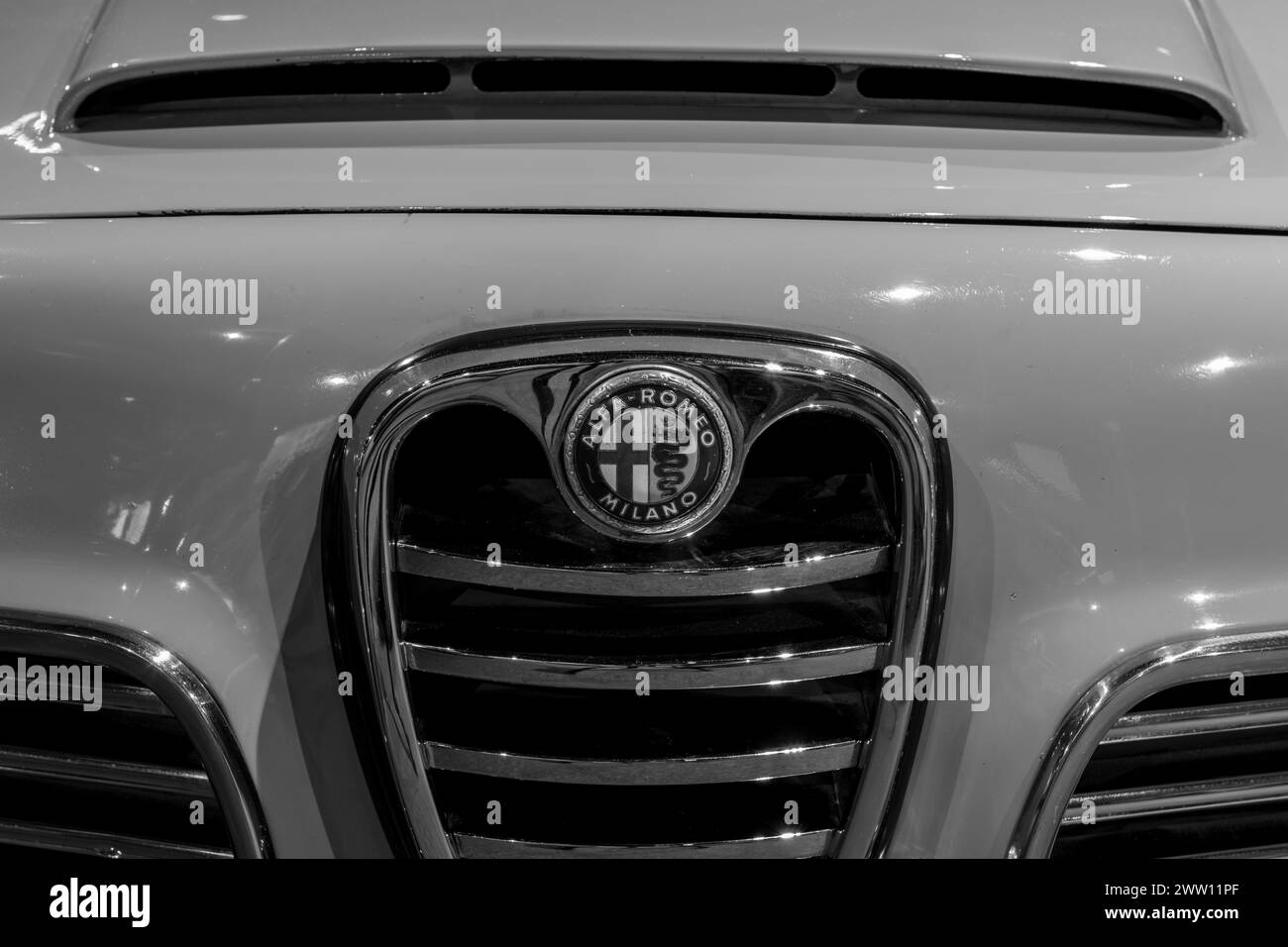 Sparkford.Somerset.United Kingdom.January 7th 2024.Close up of the ...