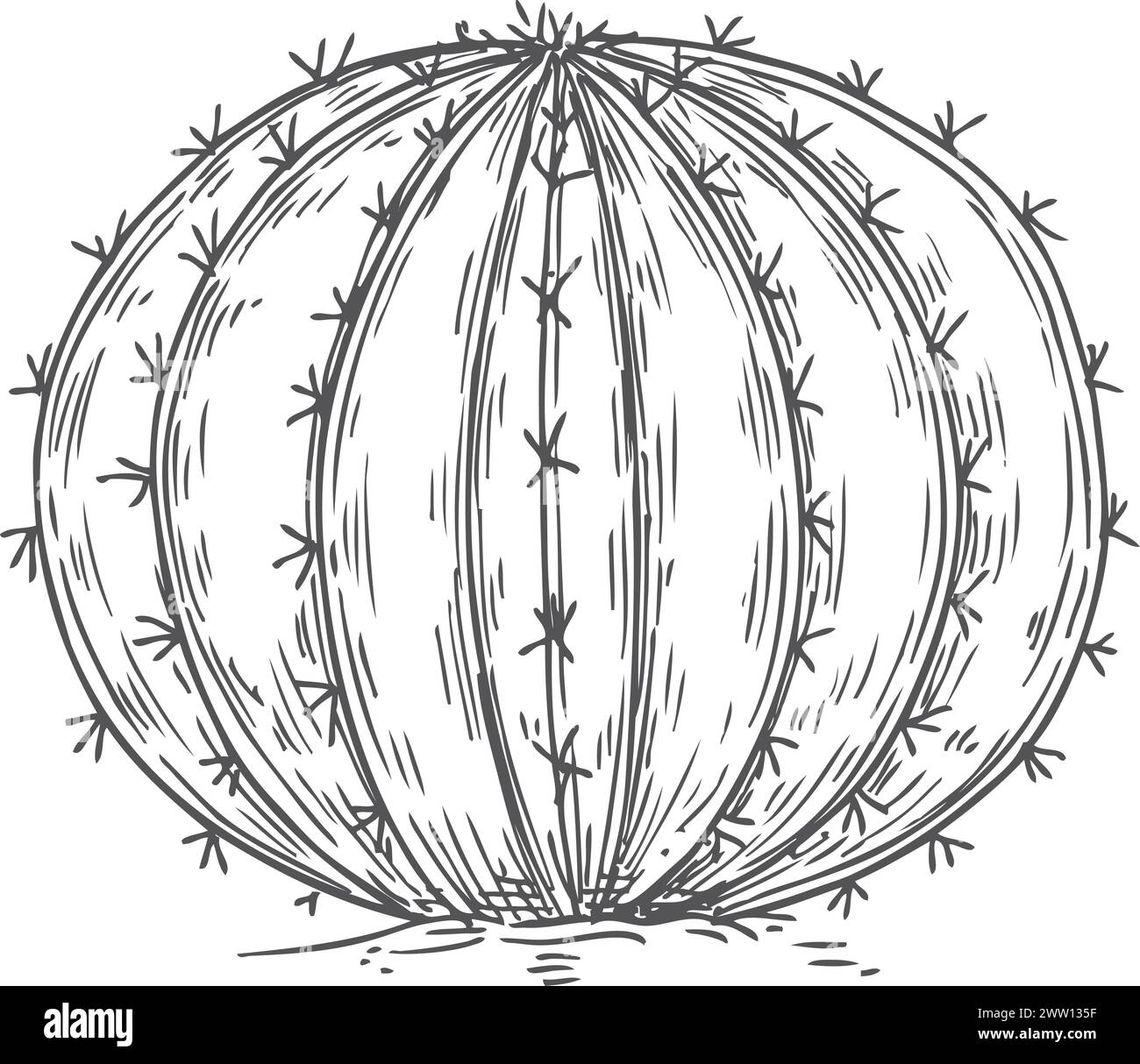 Home plant growing Black and White Stock Photos & Images - Alamy