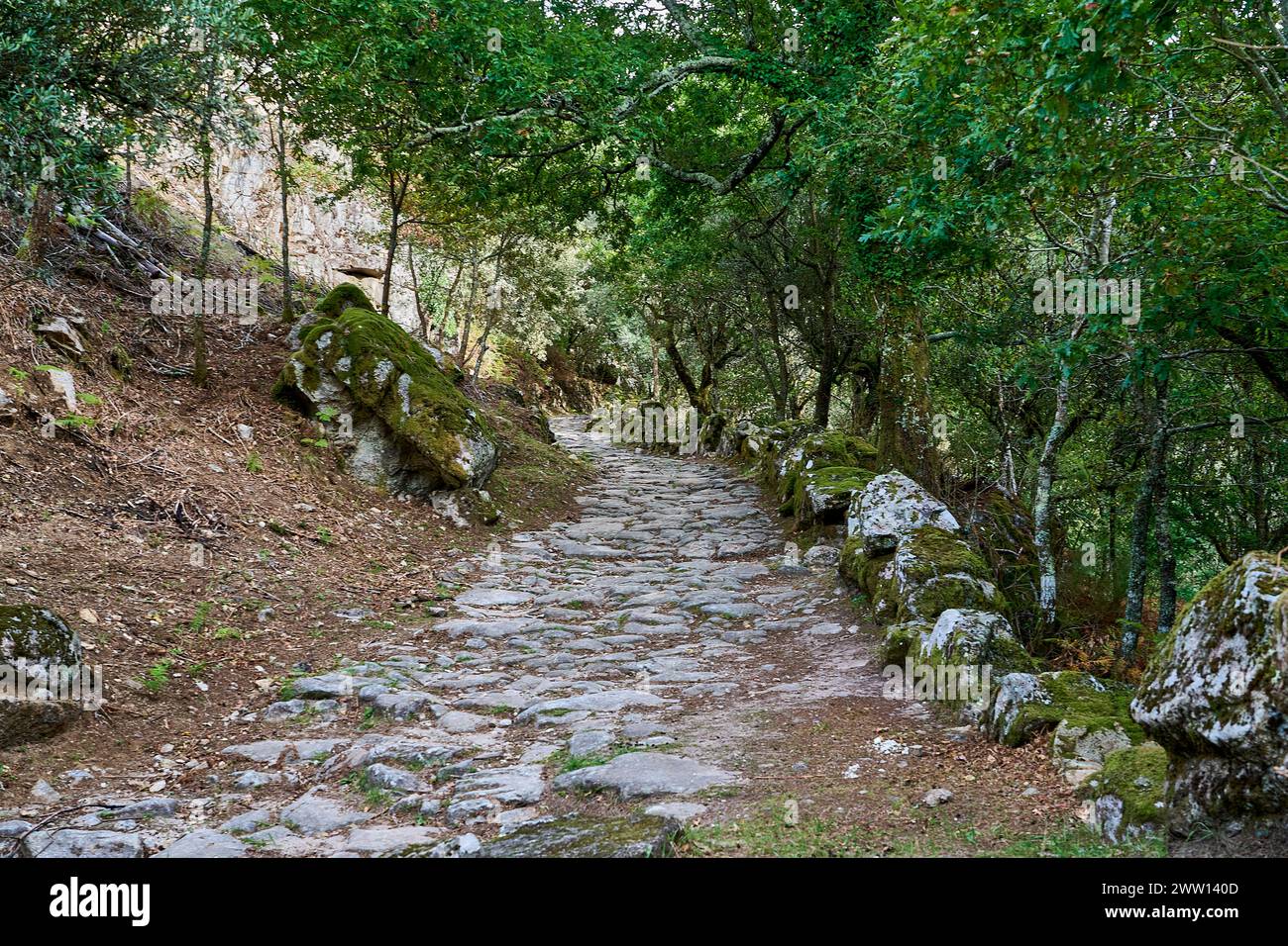 Road bridge peneda geres hi-res stock photography and images - Alamy