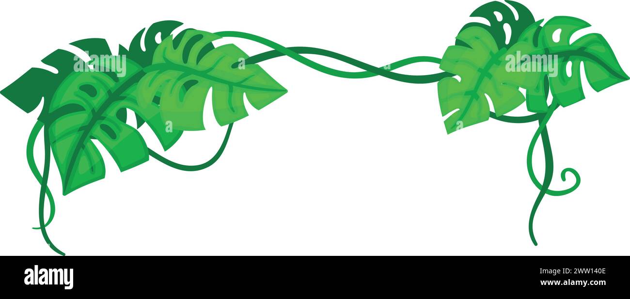 Monstera leaves decorative border. Cartoon corner decoration Stock ...