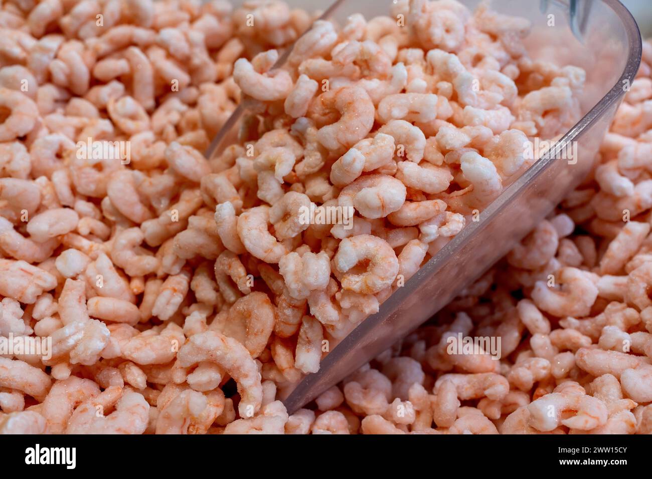 Frozen peeled shrimp are in the grocery store. Sale of marine products ...
