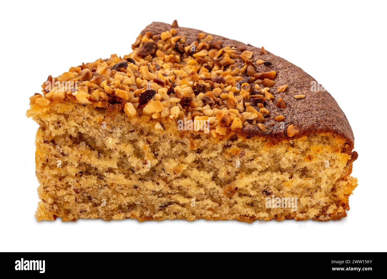 Hazelnut sponge cake, view of slice with roasted hazelnut kernels on ...