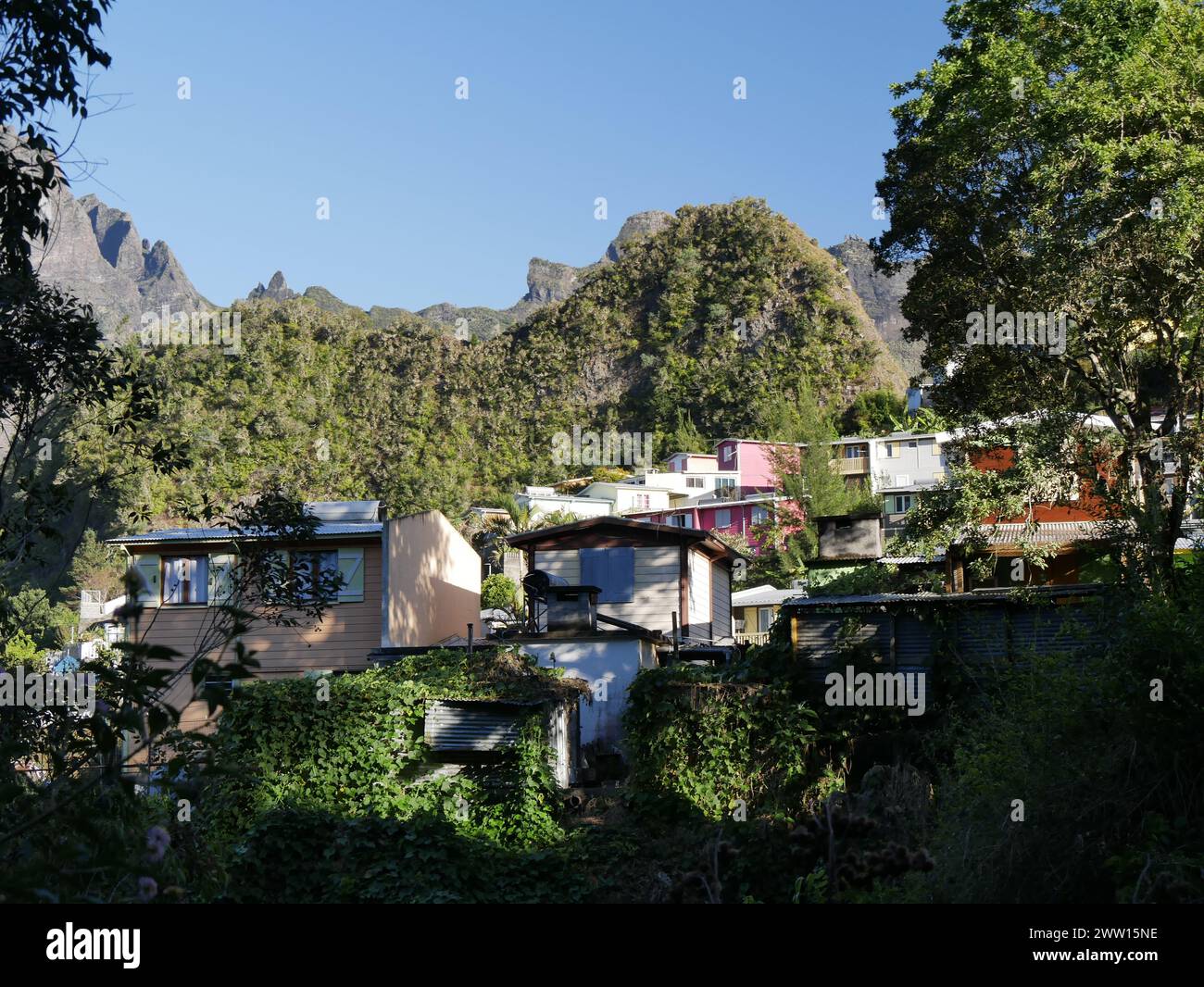 Reunion island trees village hi-res stock photography and images - Alamy