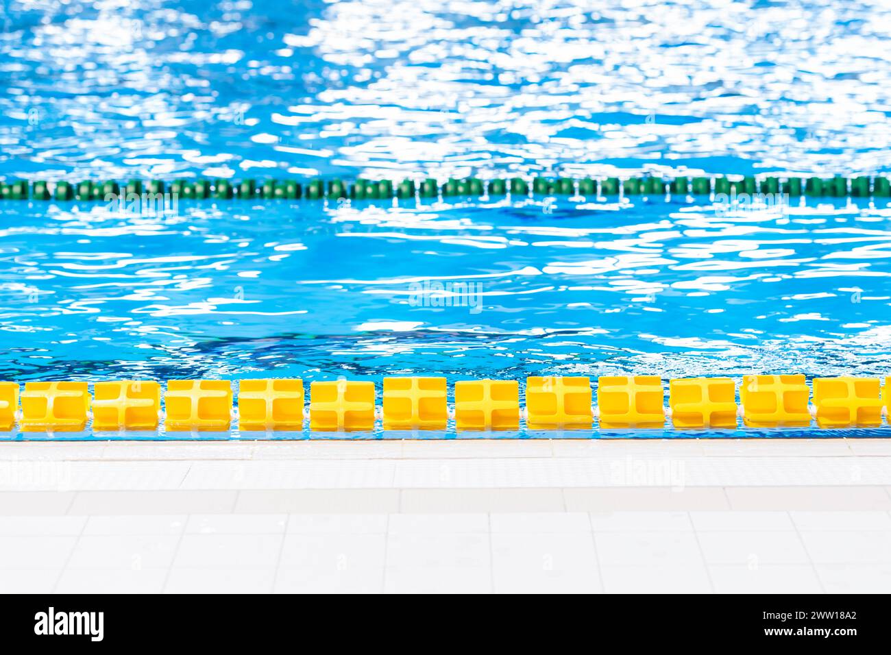 The view of an empty public swimming pool indoors. Lanes of a ...