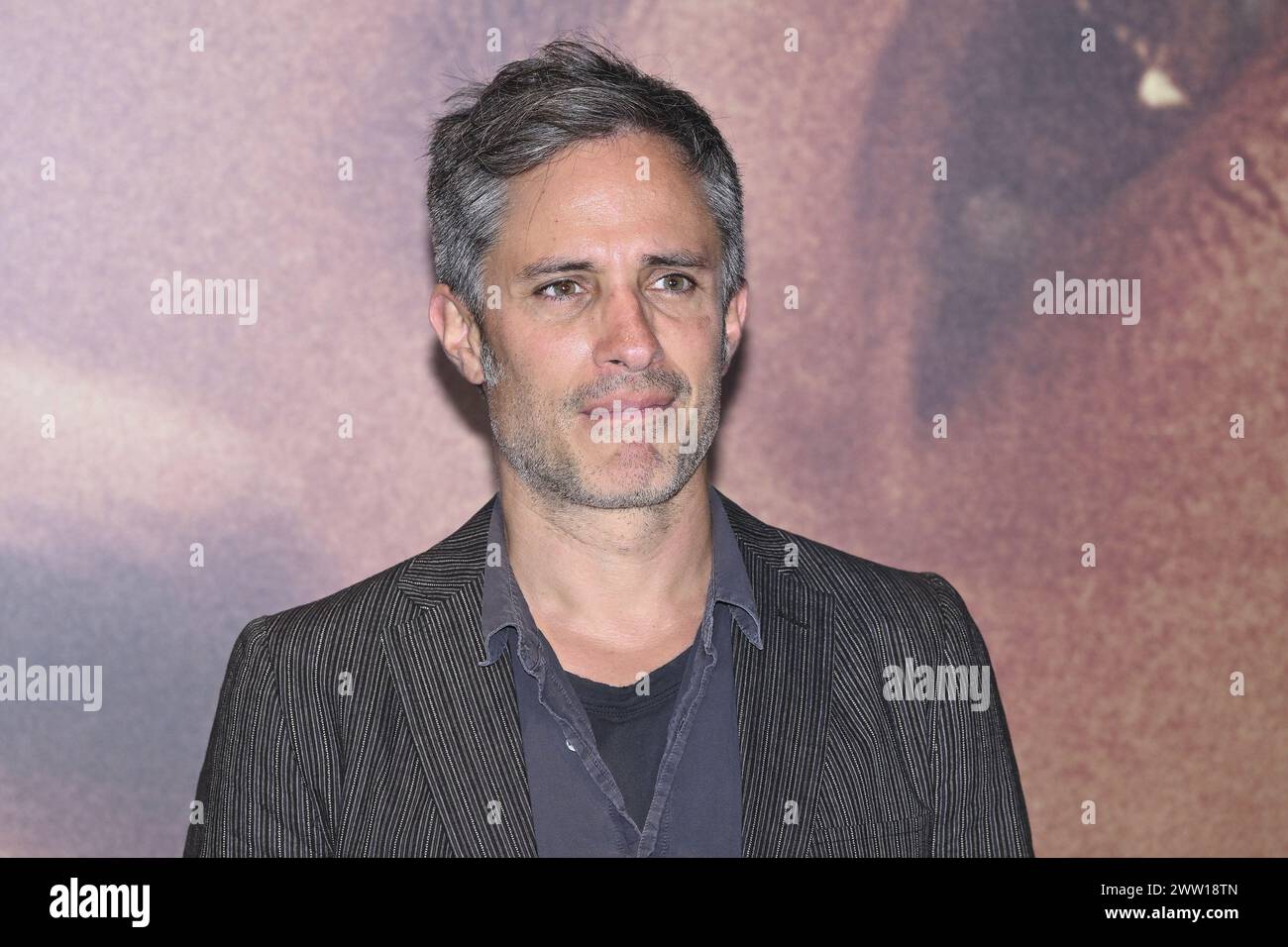 Rome, Italy. 20th Mar, 2024. GAEL GARCIA BERNAL during the Photocall of ...