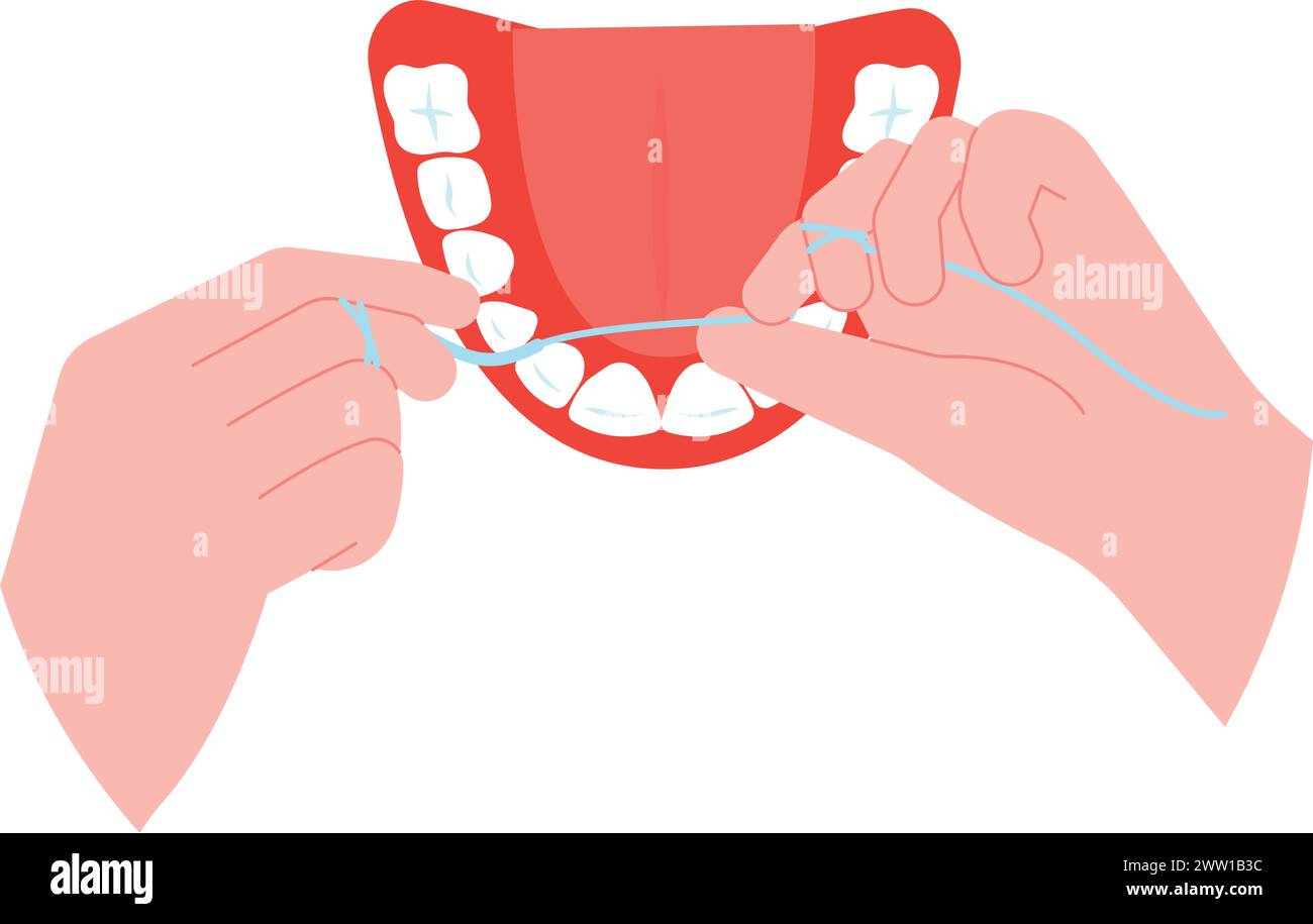 Teeth cleaning with floss. Oral hygiene. Dental health Stock Vector ...