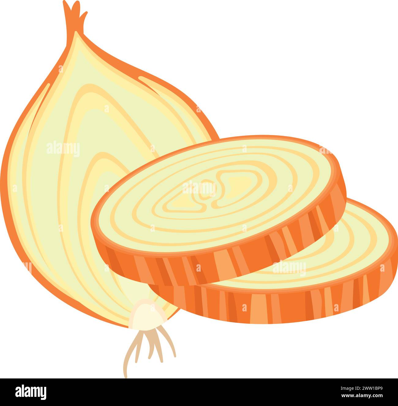 Half slice fresh unpeeled Stock Vector Images - Alamy