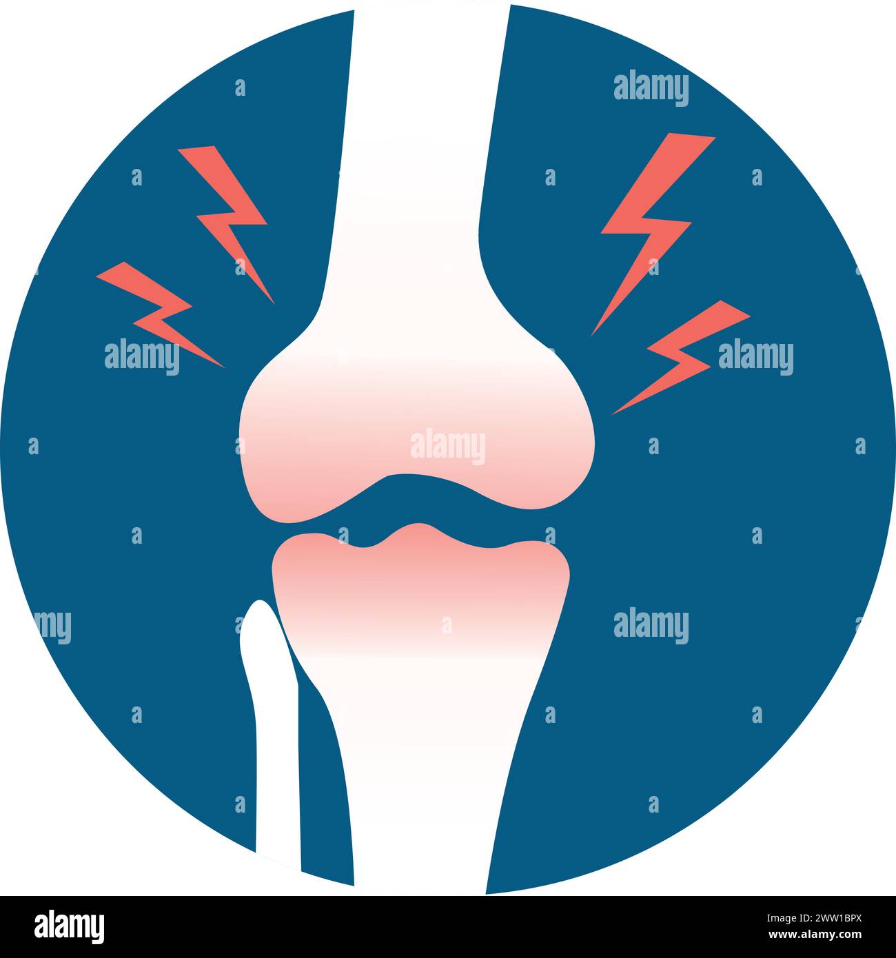 Knee bone color icon Cut Out Stock Images & Pictures - Alamy