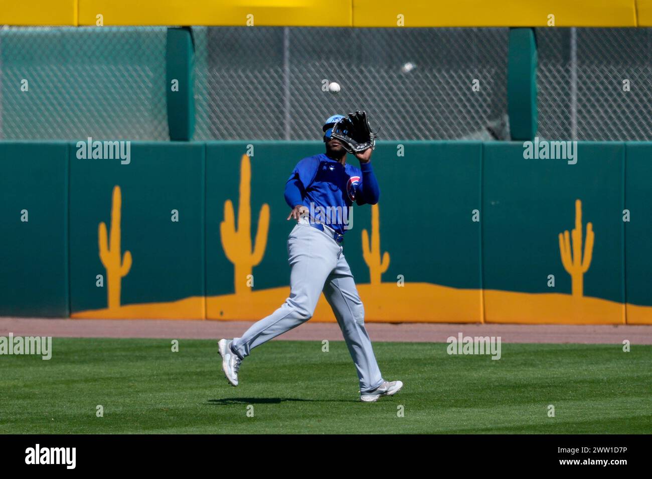 Chicago Cubs' Alexander Canario catches a fly out hit by Oakland ...