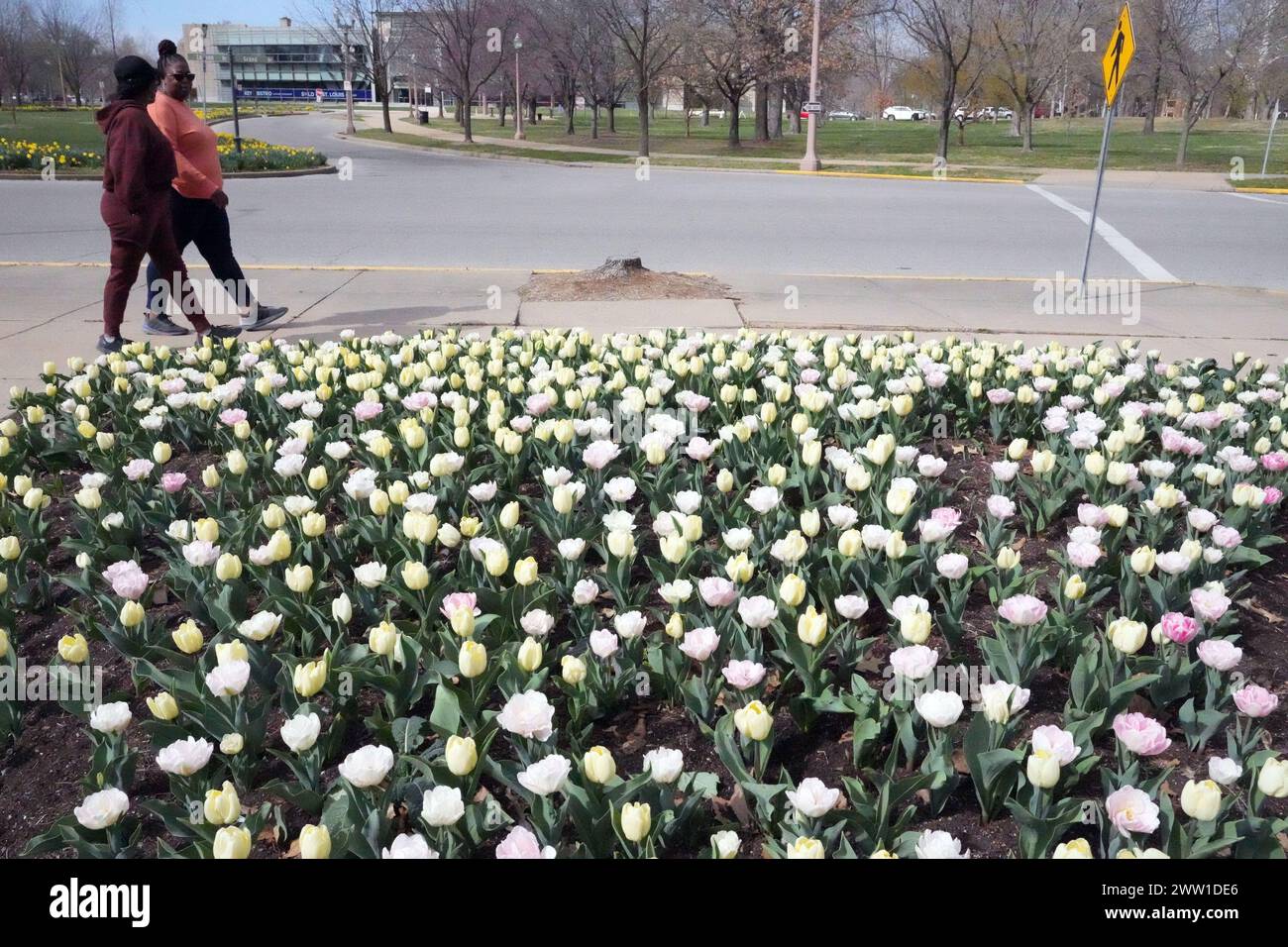 St. Louis, United States. 24th Mar, 2024. Pedestrians walk past a ...