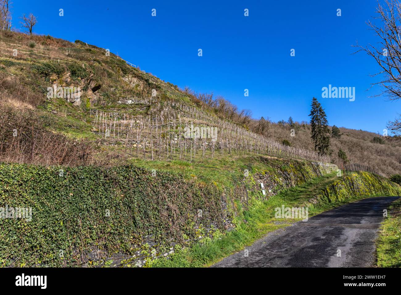Vue hivernale ensoleillée des terrasses de la Bontat Stock Photo - Alamy