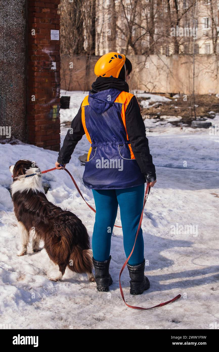Rescuer with dog searching at ruined building Stock Photo - Alamy