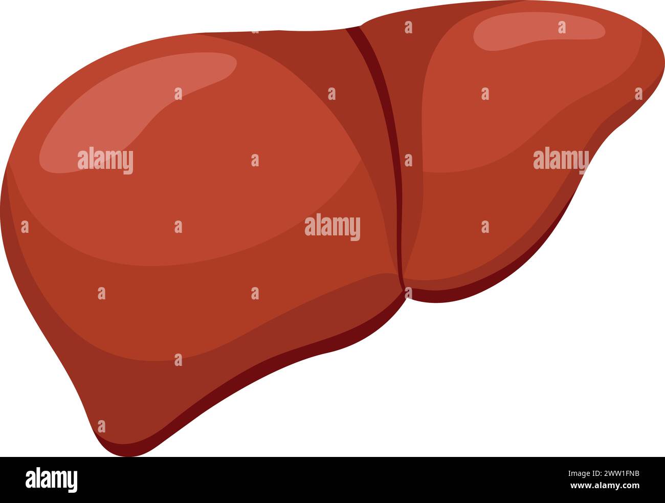 Liver icon. Human organ illustration. Biology cartoon illustration ...