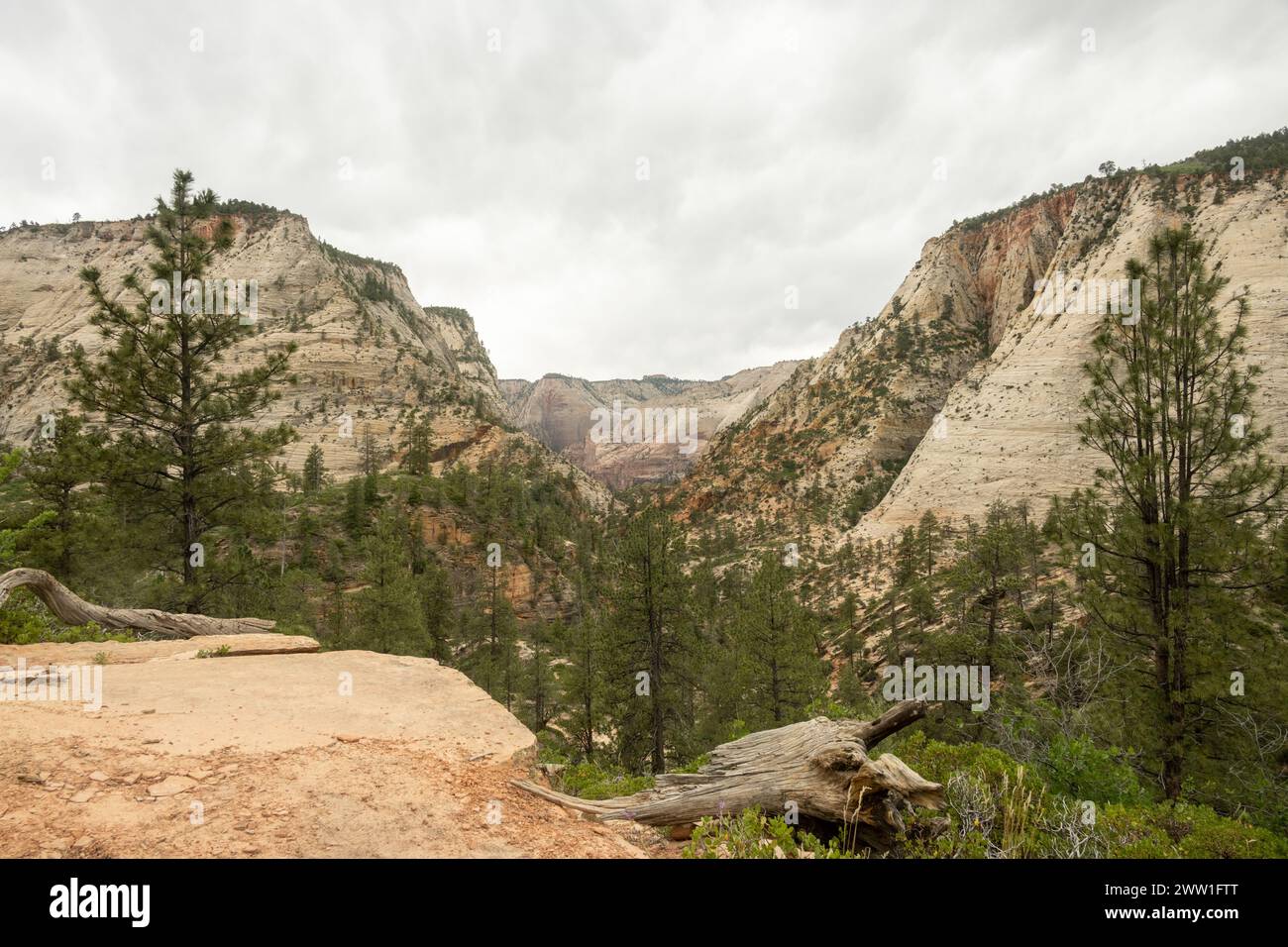 Smooth and White Walls of Canyons from the East Rim of Zion National ...