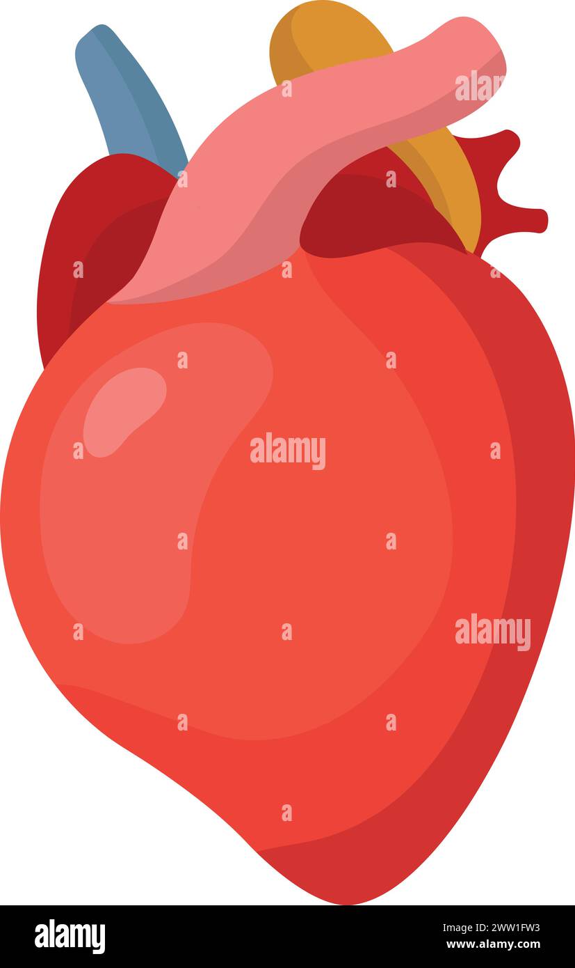 Anatomy blood circulation scheme hi-res stock photography and images ...