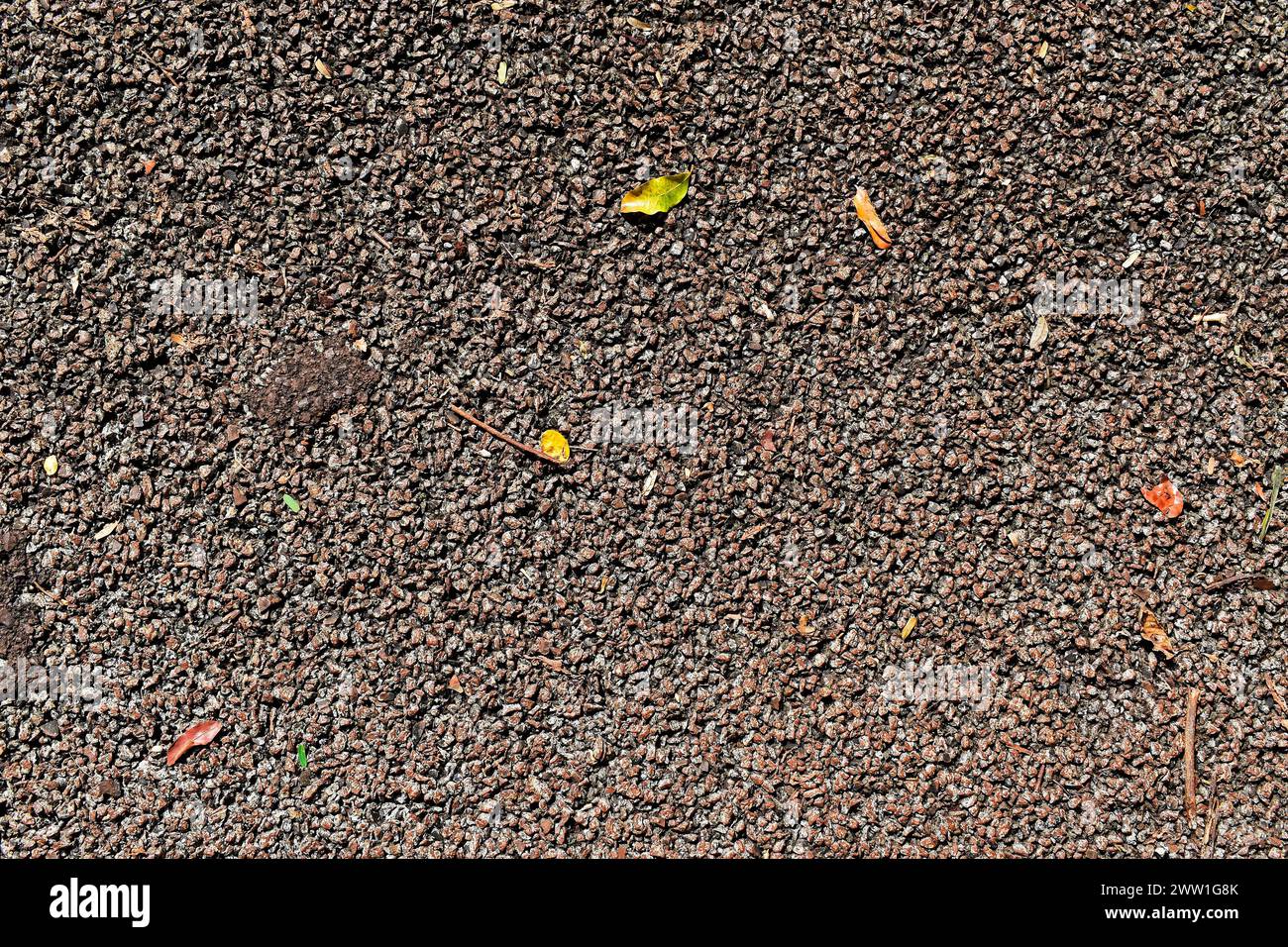 Stone floor on public park Stock Photo - Alamy