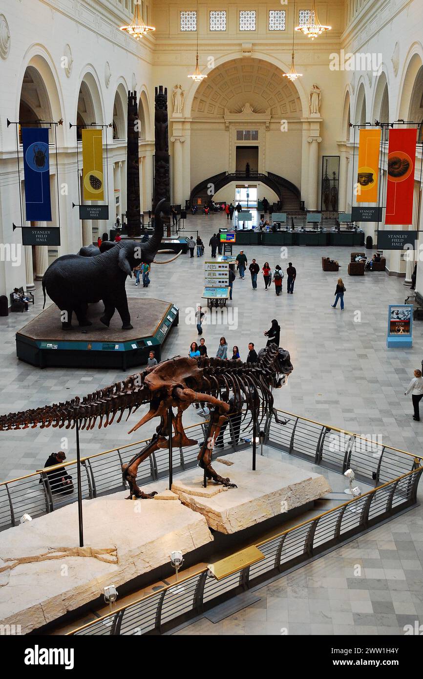 Main Floor of the Famous Field Museum n Chicago with Sue, the Most ...