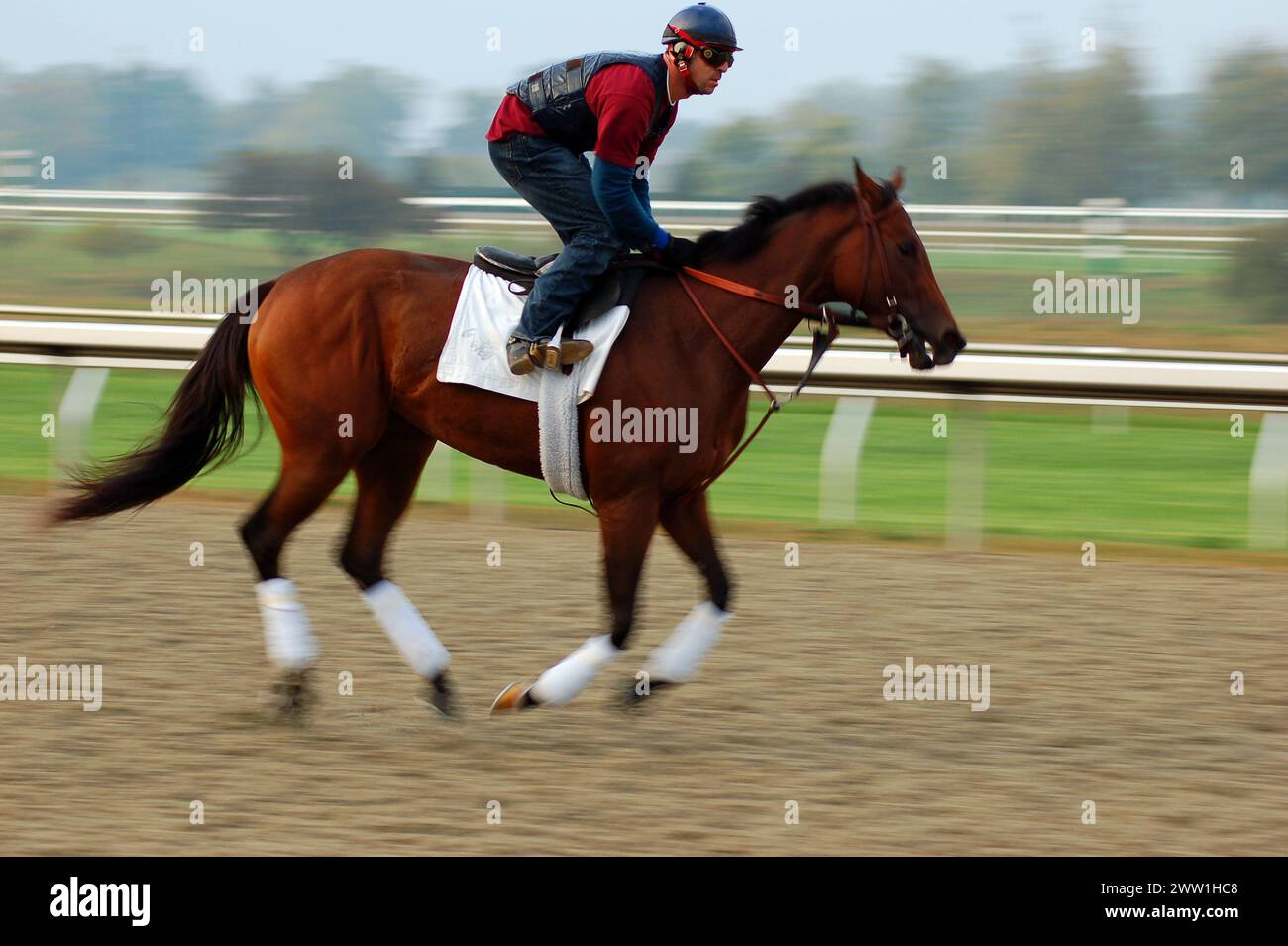 Horse and rider morning exercise racing race track hi-res stock ...