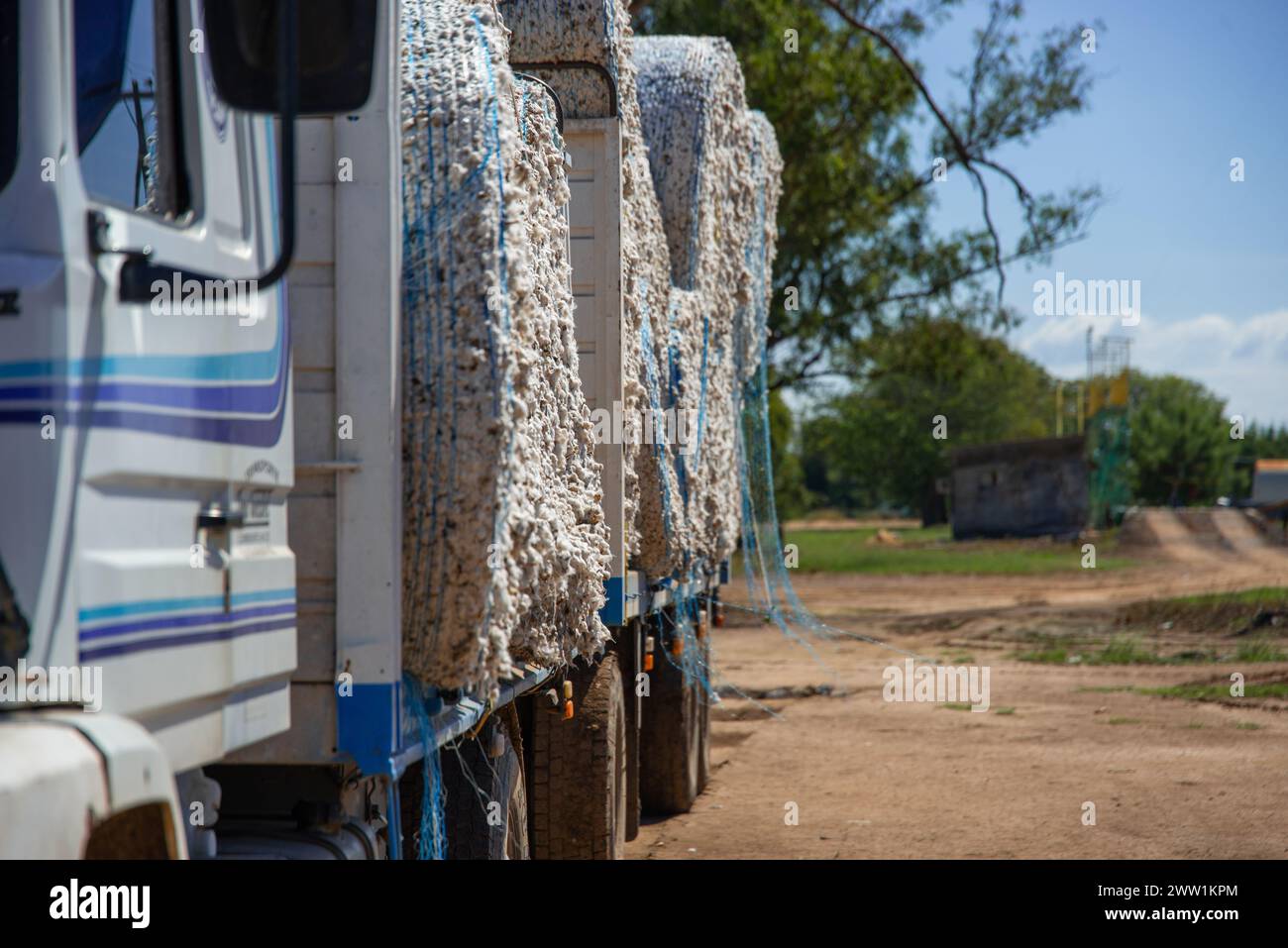 Cotton production ready to ship to factories by trucks Stock Photo - Alamy