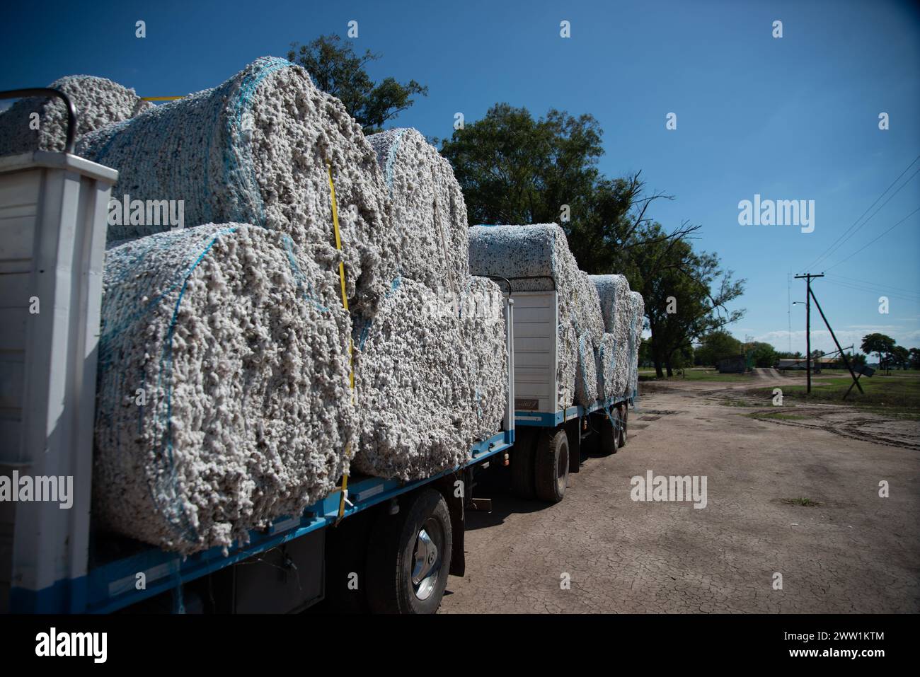 Cotton production ready to ship to factories by trucks Stock Photo - Alamy