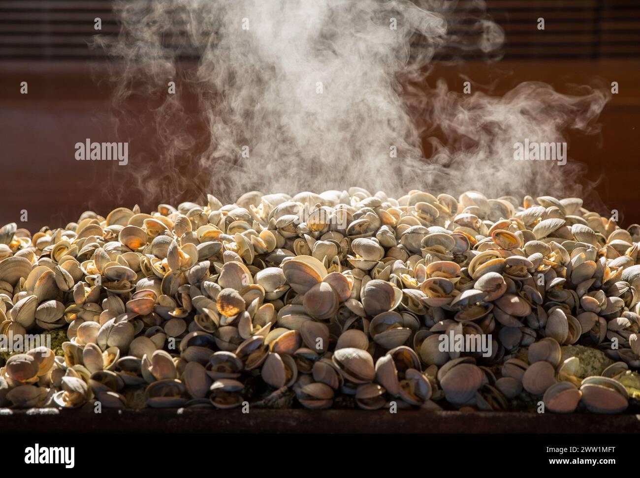 Clams shellfish hi-res stock photography and images - Alamy
