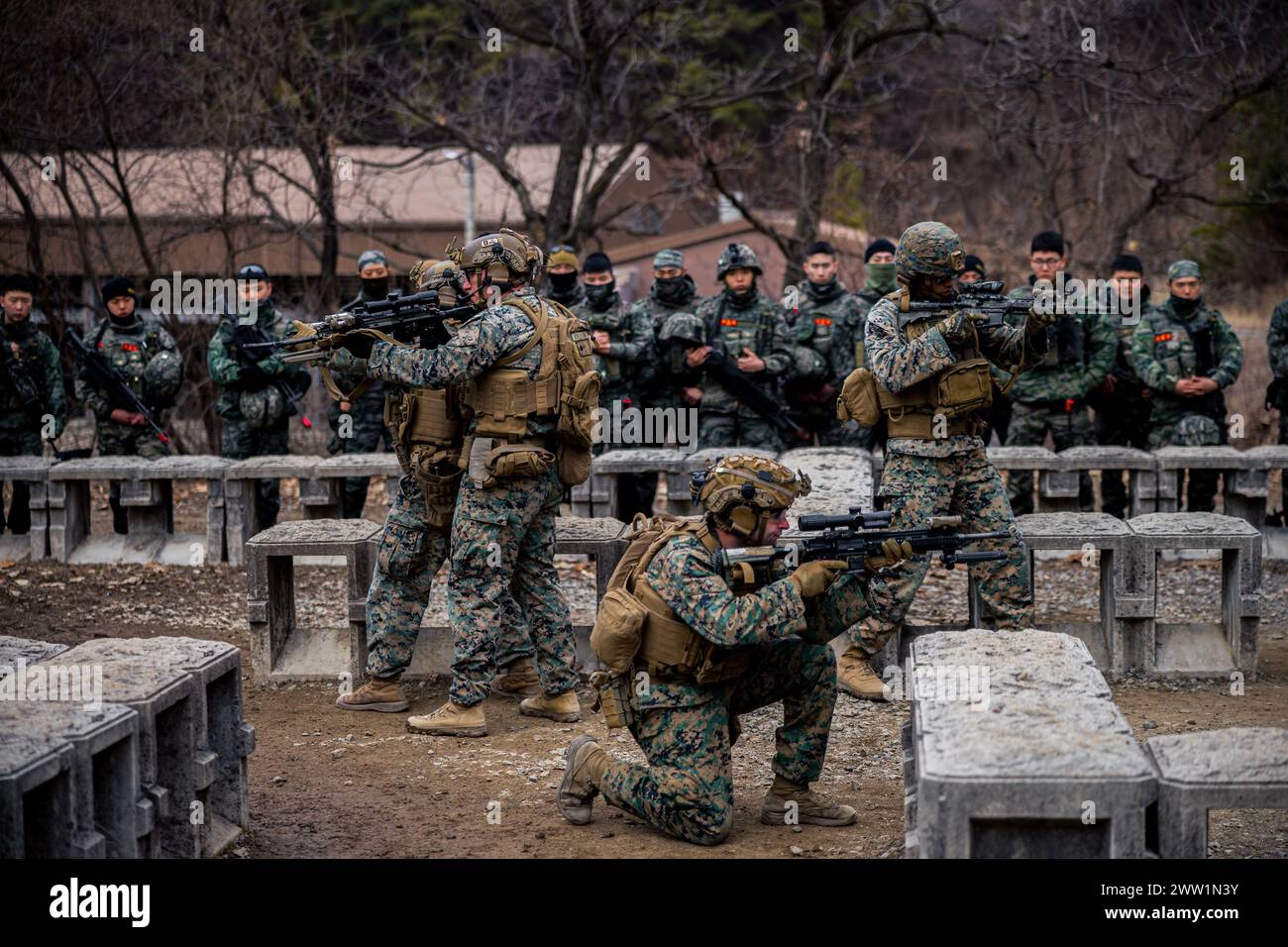 U.S. Marines demonstrate close-quarters combat tactics for Republic of ...
