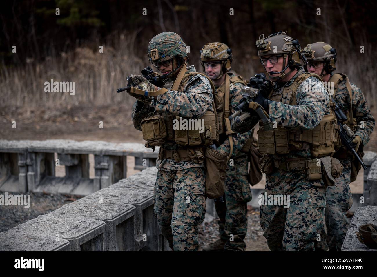 U.S. Marines demonstrate close-quarters combat tactics for Republic of ...